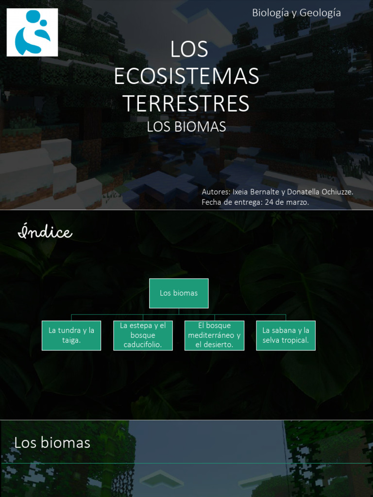 Donatella e Ixeia Los Ecosistemas Terrestres | PDF