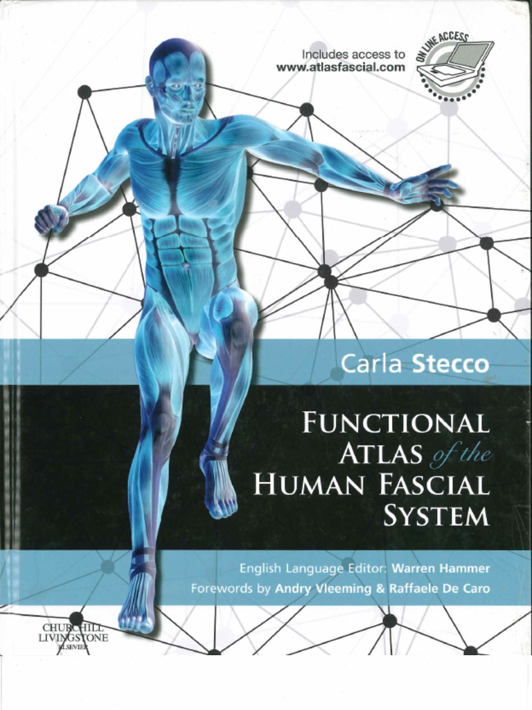 Functional Atlas | PDF