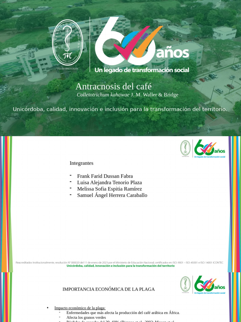 Antracnosis del café: Impacto y control | PDF | café | Ciencia y ...