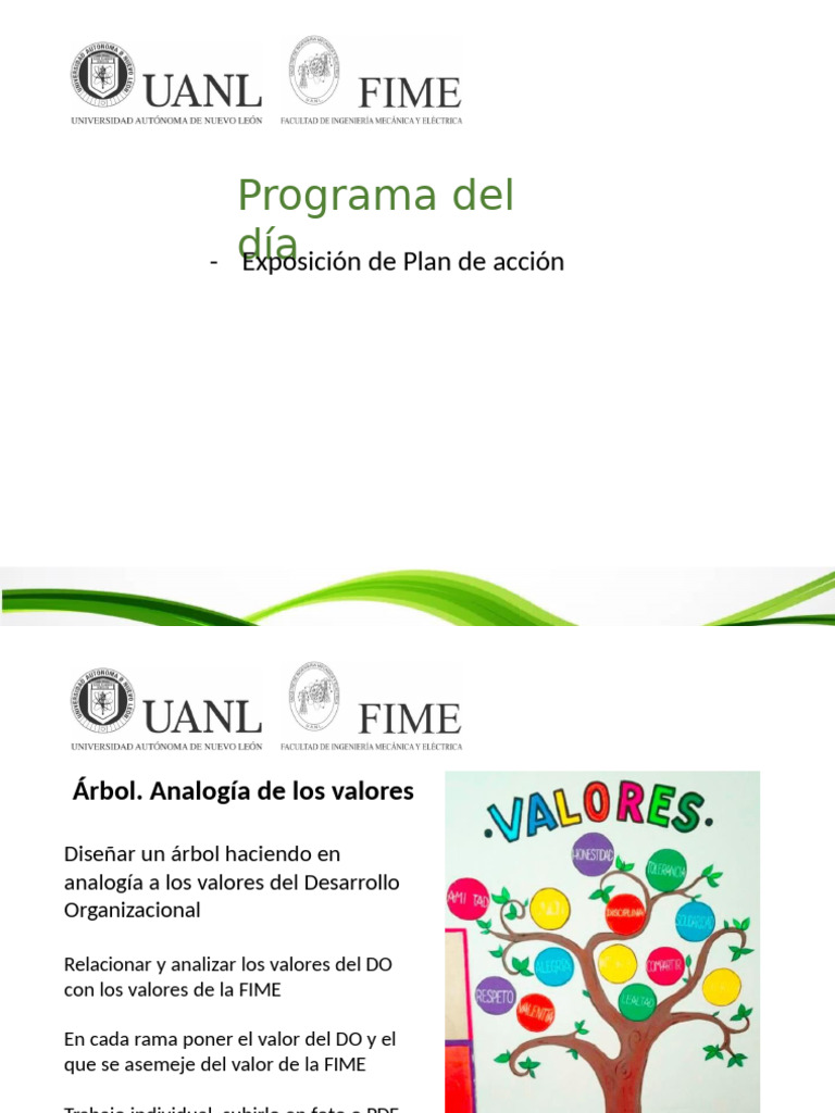 Exposicion Del Plan de Accion | PDF