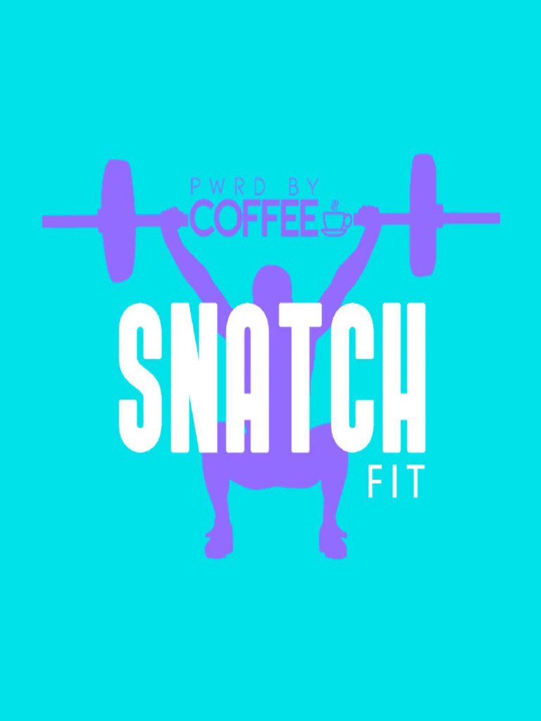 Snatch Logo | PDF