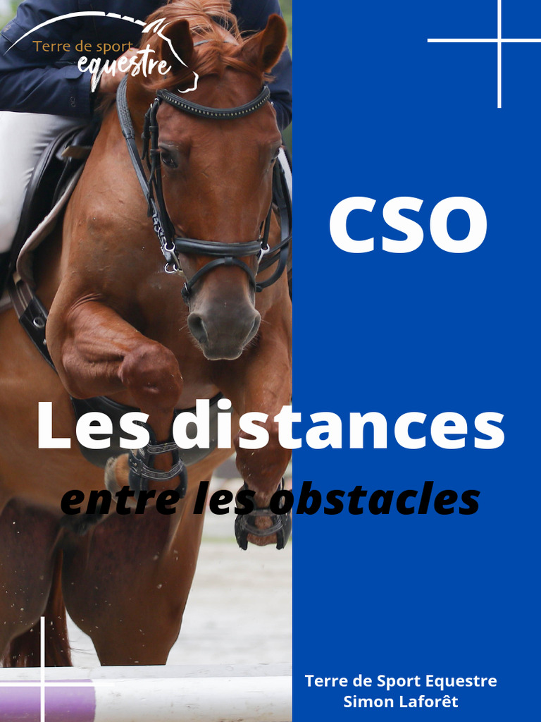 Le Guide Des Distances A Obstacles | PDF