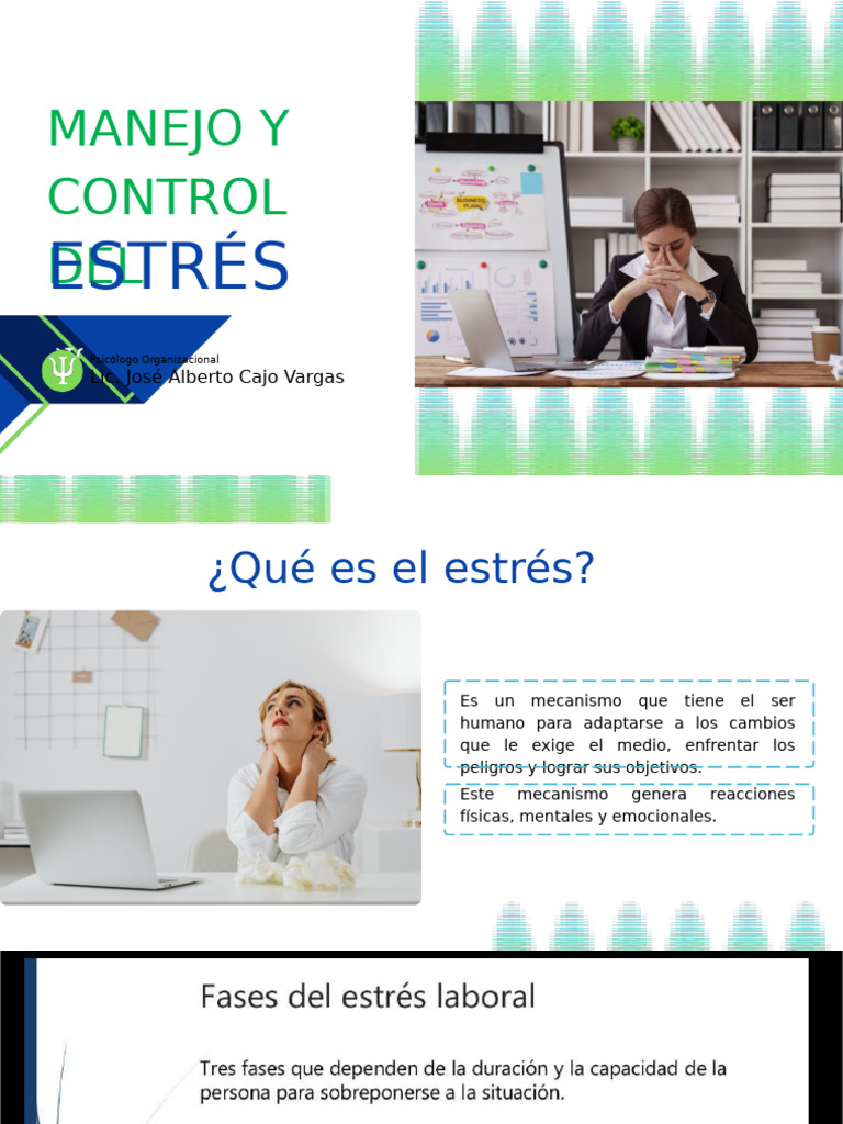 Manejo y Control Del Estres | PDF