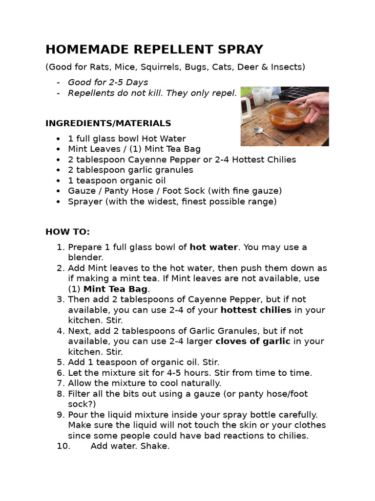 Homemade Repellent Spray | PDF