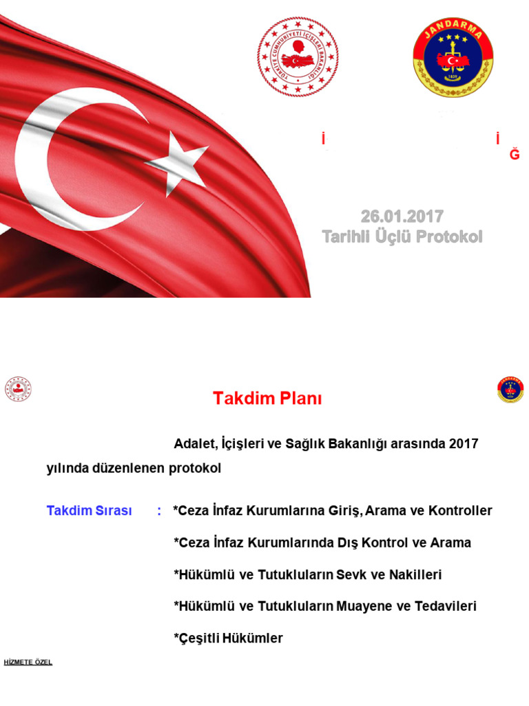 3'lü Protokol Sunum PDF | PDF