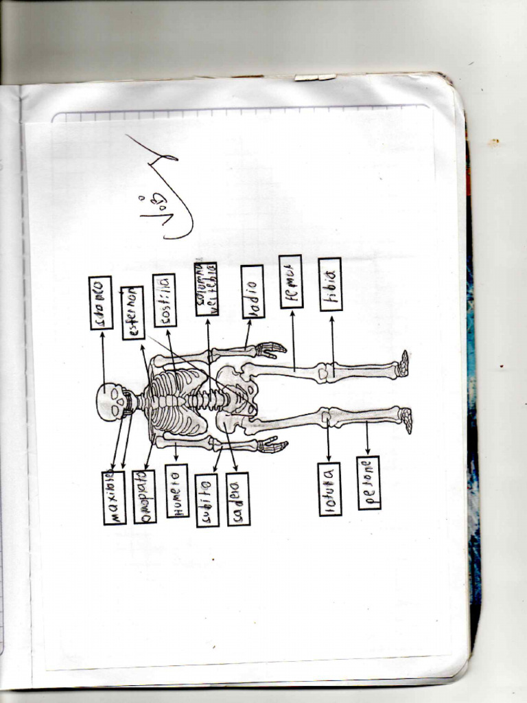 Image 20240923 0001 | PDF