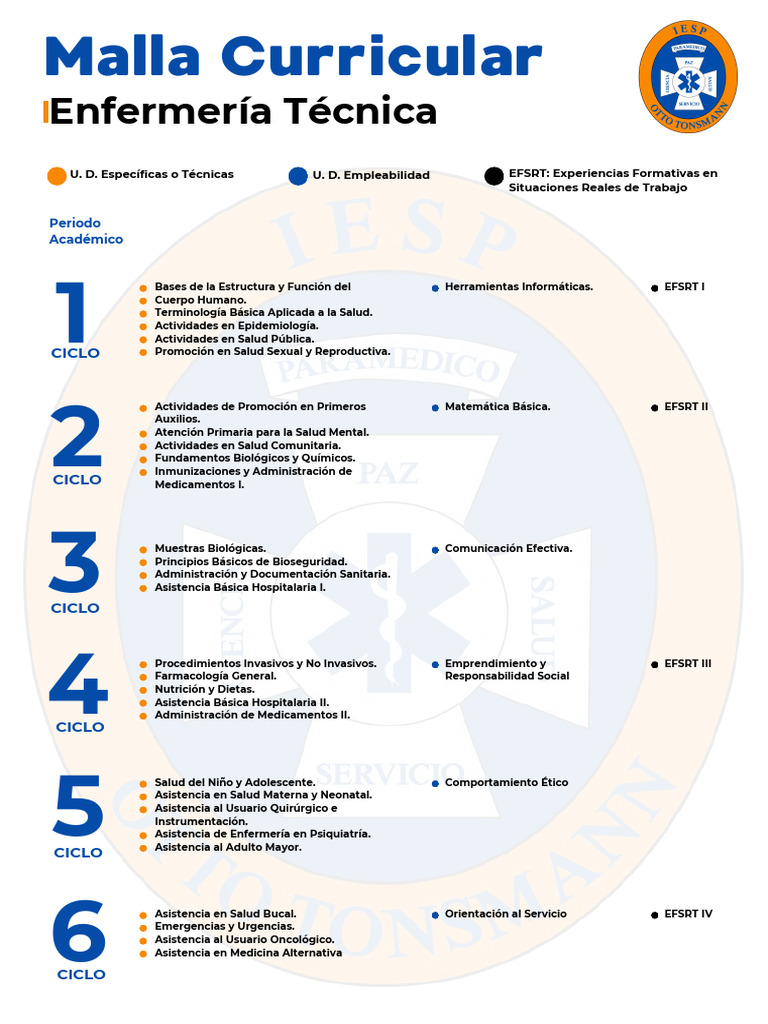 Malla Curricular de Enfermeria | PDF