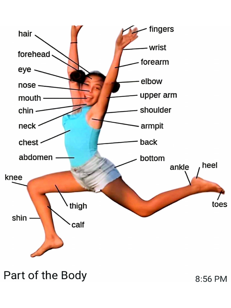 Parts of The Body and Movement | PDF