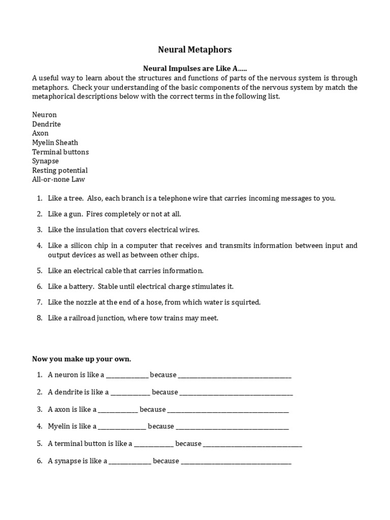 Neuron Metaphors Activity | PDF