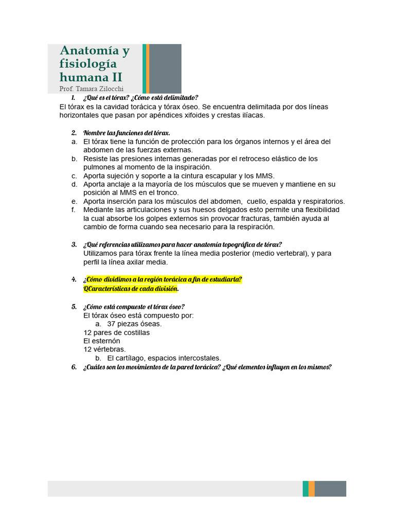 Anatomia Ii | PDF | Sistema linfático | Tórax