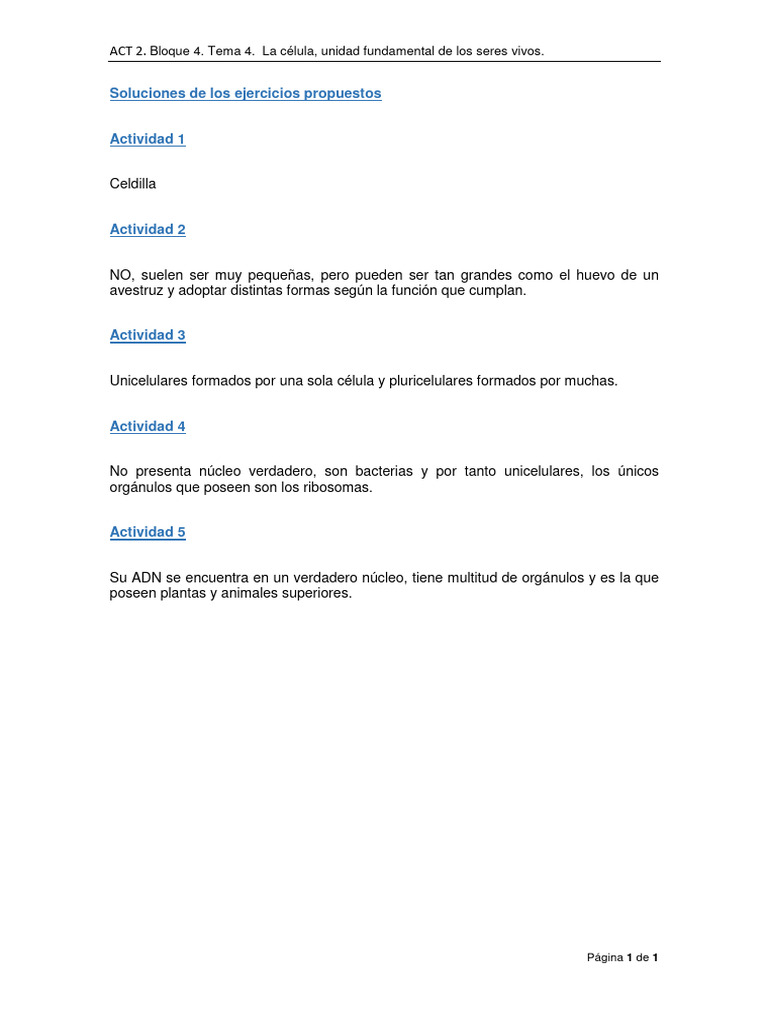 ACT2 B04 T04 Imprimible Soluciones | PDF