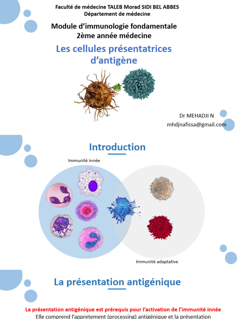 Les Cellules Présentatrices D'antigène | PDF