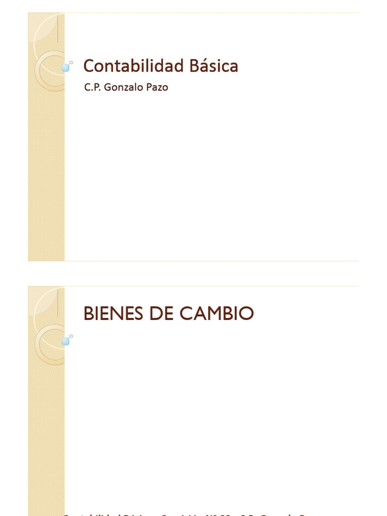 Bienes de Cambio | PDF