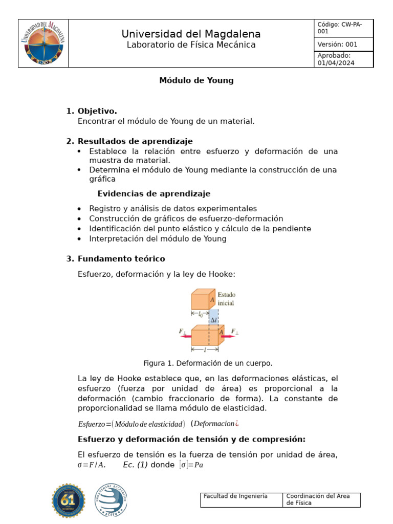 I Modulo de Young | PDF