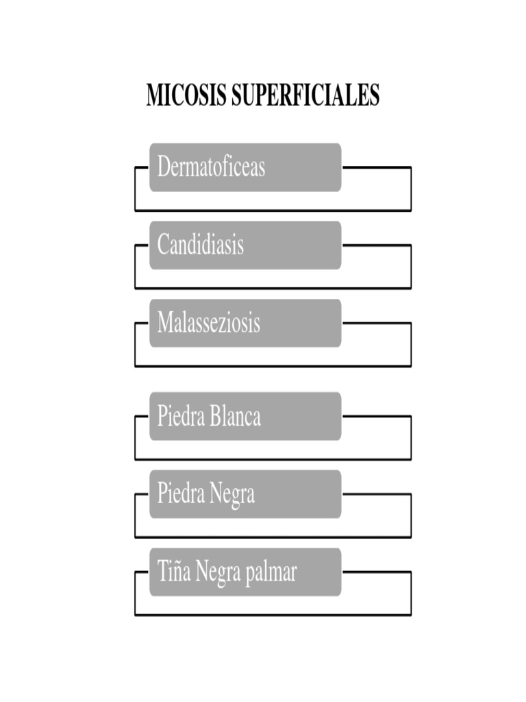 Micosis Barcelo 2024 Completo | PDF