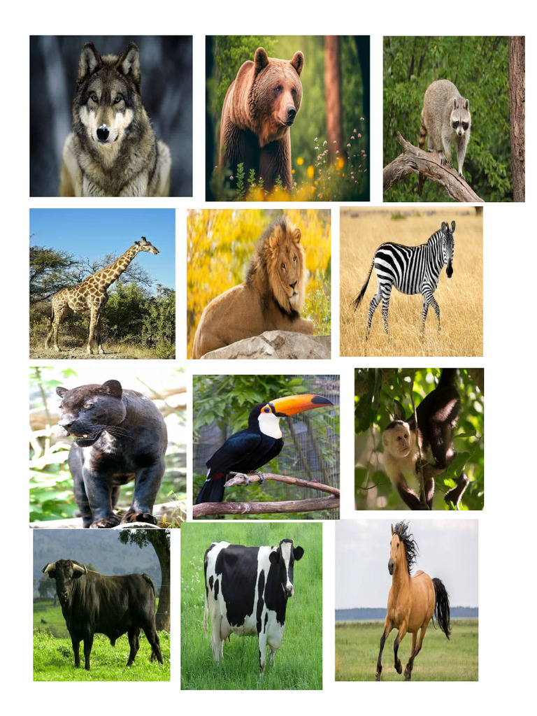 animales ) | PDF