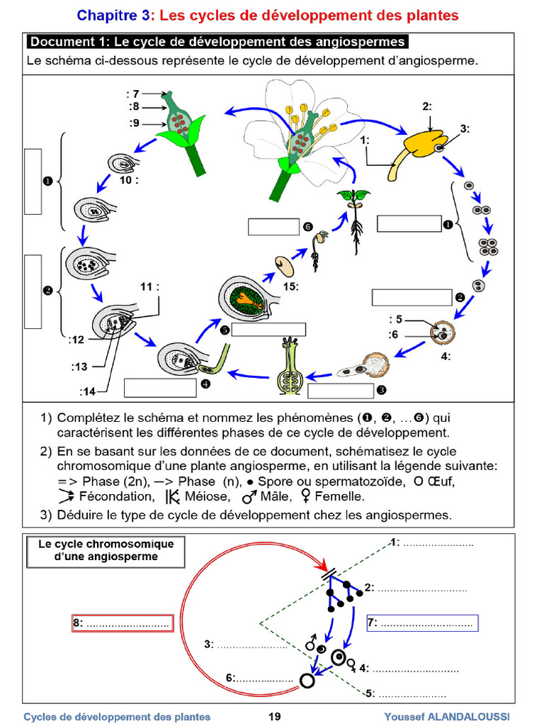 Documents TC SC Unit2 3 | PDF