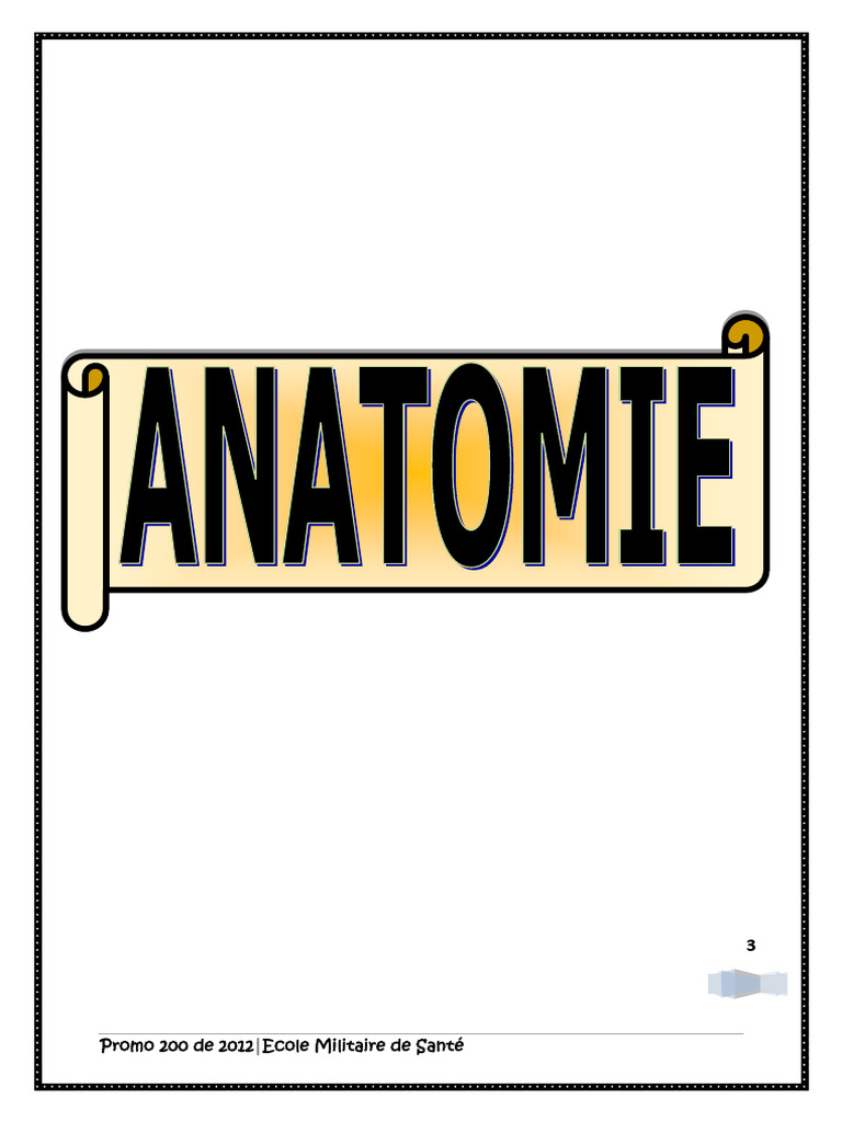 QCM Anatomie 2° Annee | PDF