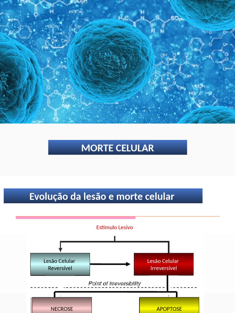 Morte Celular | PDF