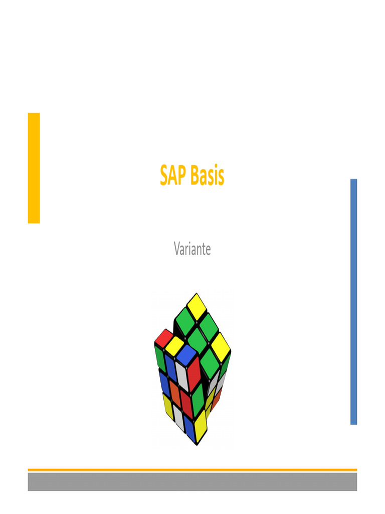 Introduction 05 SAP Variante-ALV Grid V1 | PDF