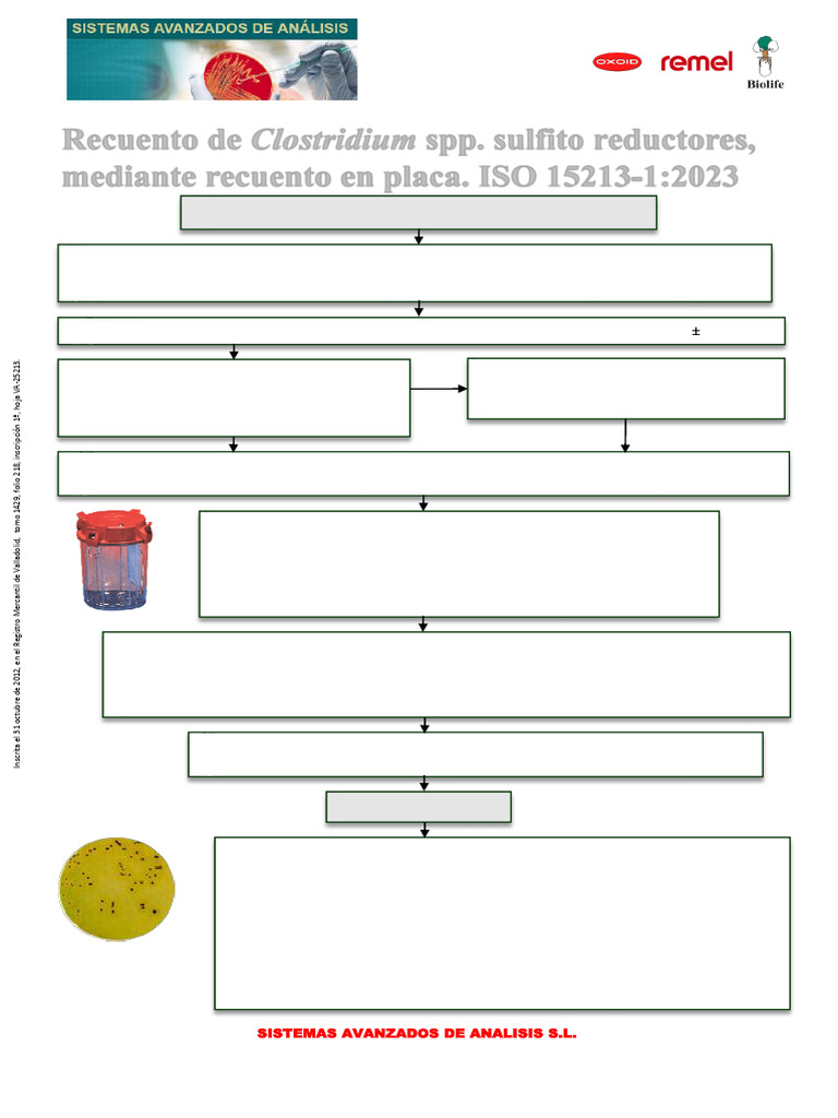 Clostridium Sulfito-Reductores ISO 15213-1 2023 | PDF