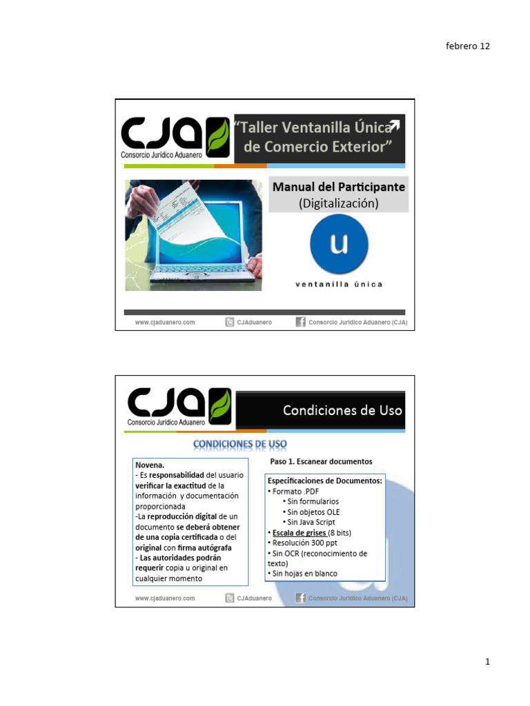 Manual Digitalizacion VUCEM | PDF