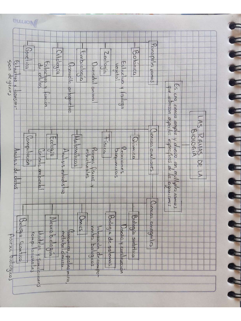 Tarea 2 Mapas. Diego Gonzalez Paz | PDF