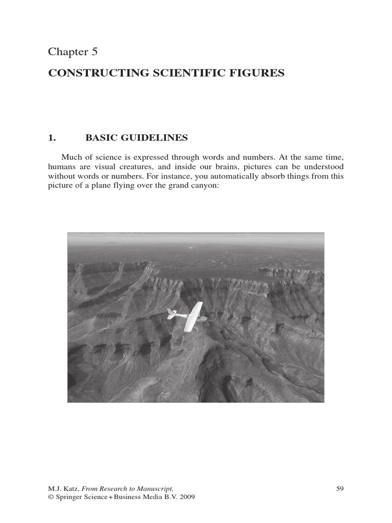Constructing Scientific Figures | PDF