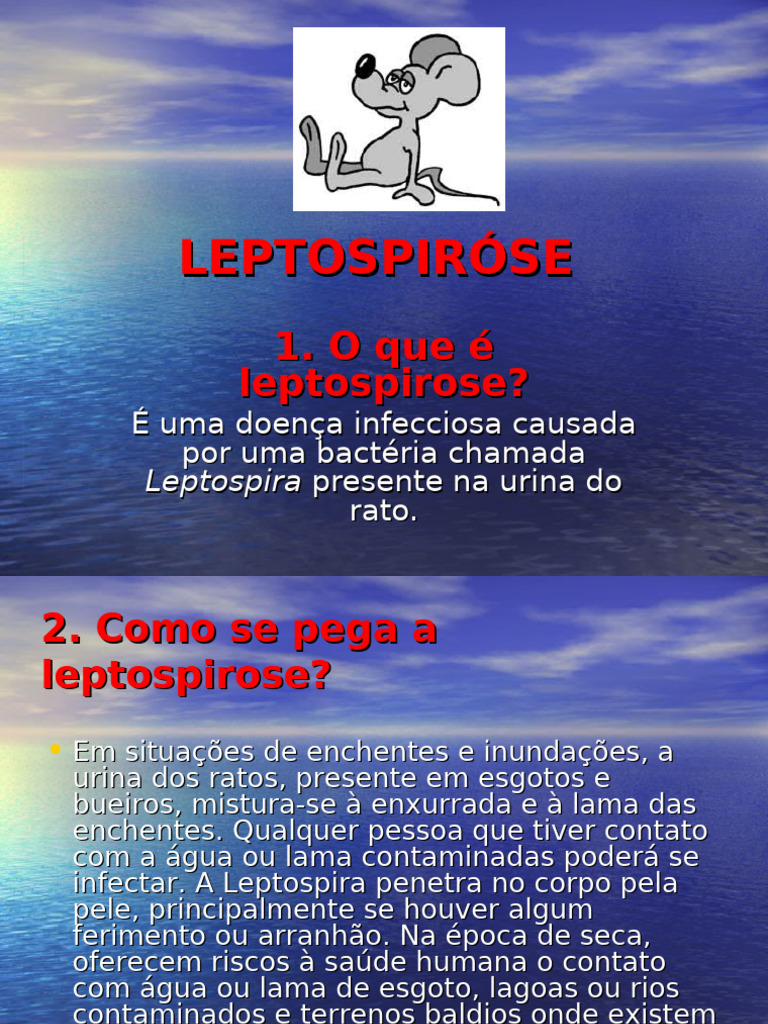 Leptospiróse Power Point | PDF