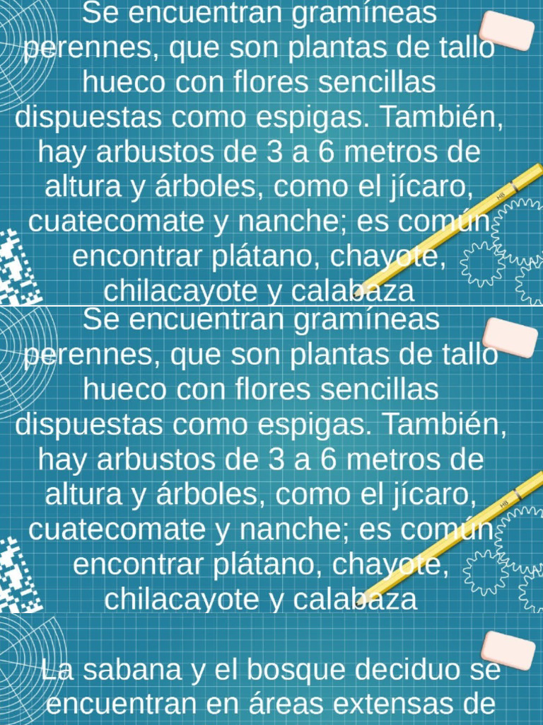 Proyecto Del Ecosistema de La Sabana Seca | PDF