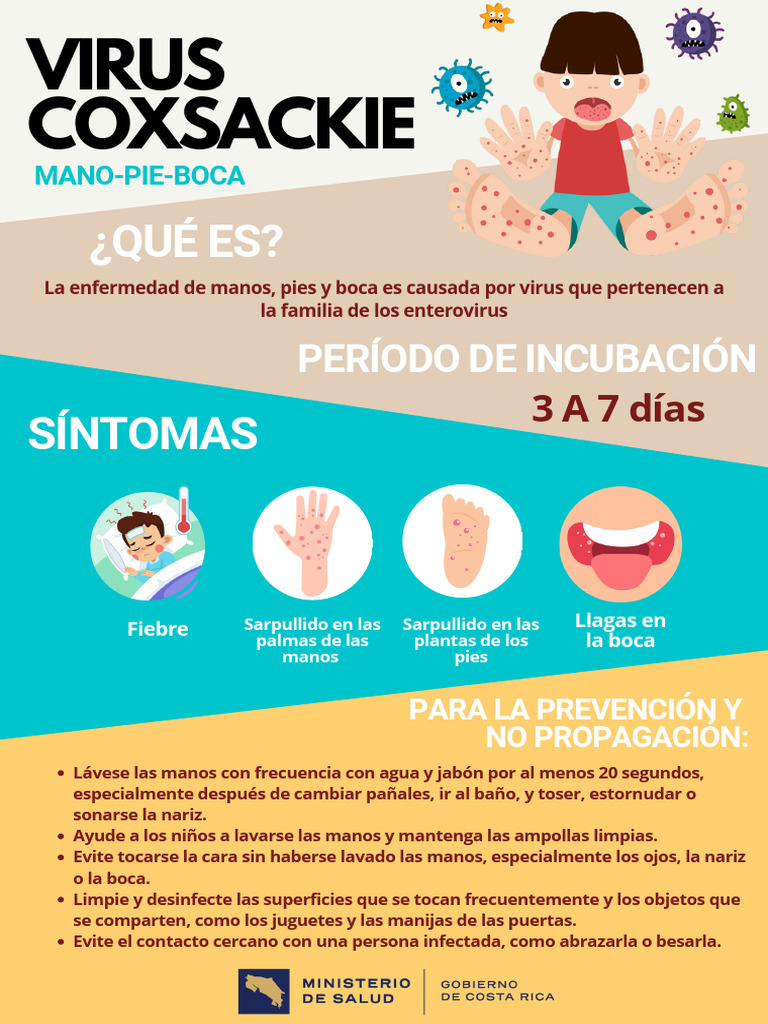 Virus Coxsackie | PDF