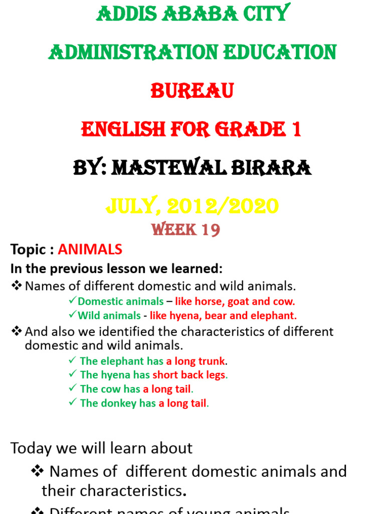 English For Grade 1 Week 19 (Lesson 4, 5 & 6) | PDF
