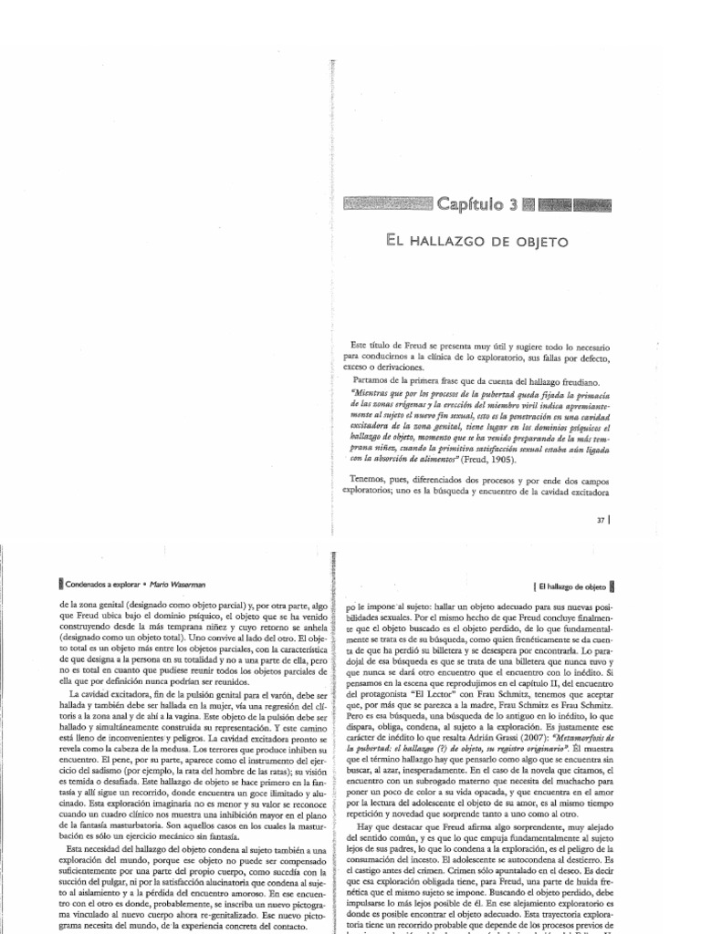 Waserman El Hallazgo de Objeto | PDF