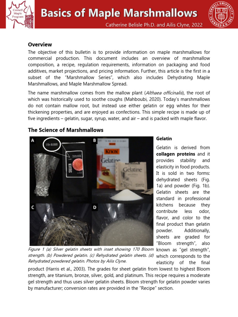 Maple Marshmallow Production Guide | PDF | Marshmallow