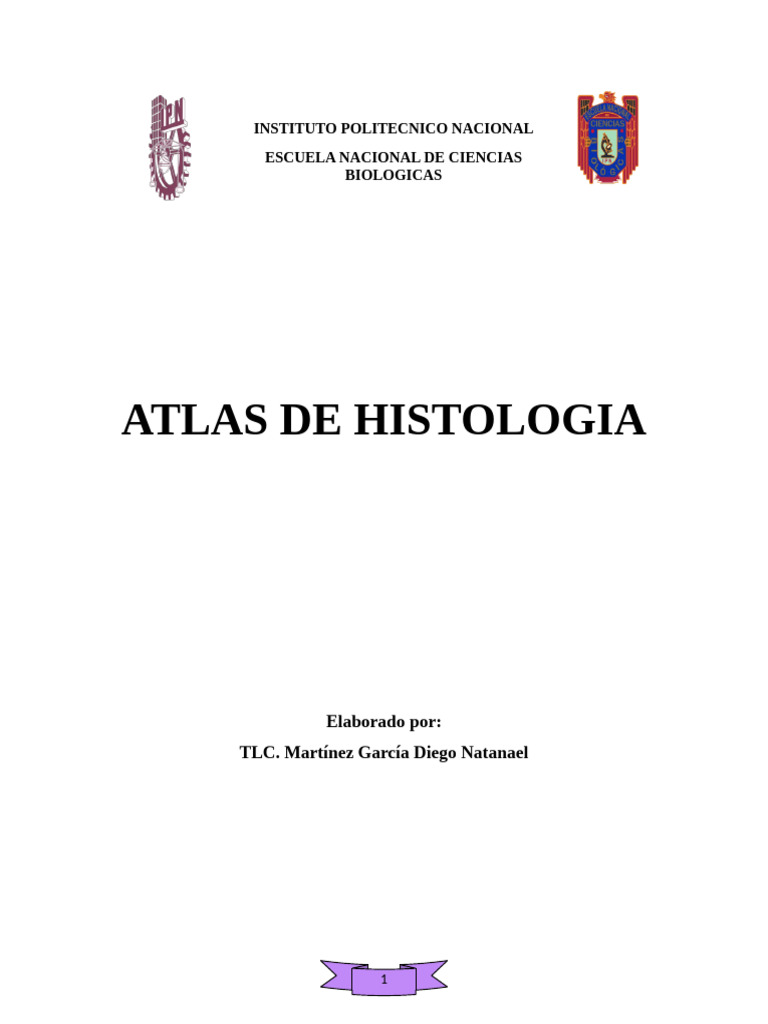 ATLAS | PDF