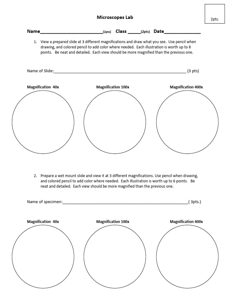 Microscope Lab | PDF