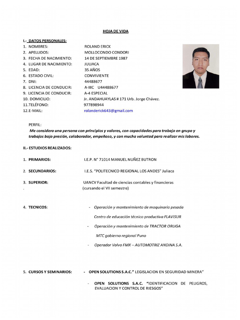 CV-ROLAND-2023 | PDF