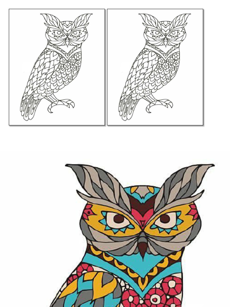 Owl | PDF