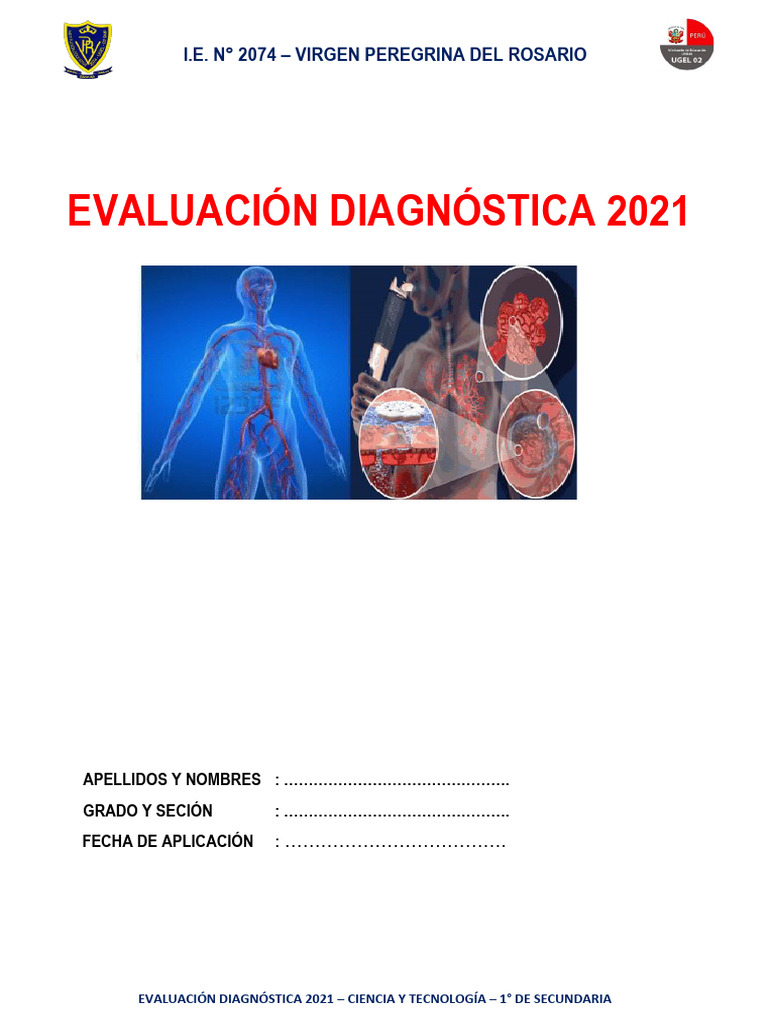 Eval Diag 1° | PDF