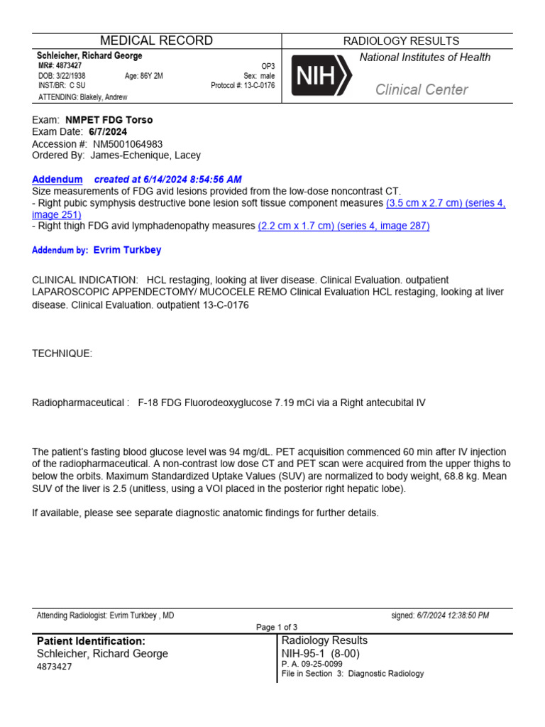 Radiology Report | PDF