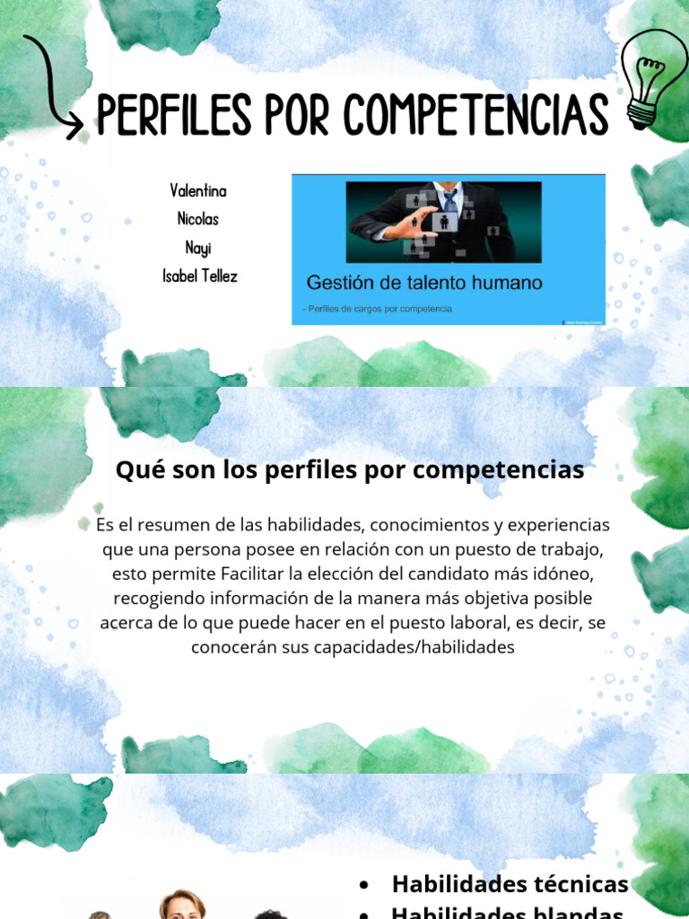 Perfil Por Competencias | PDF