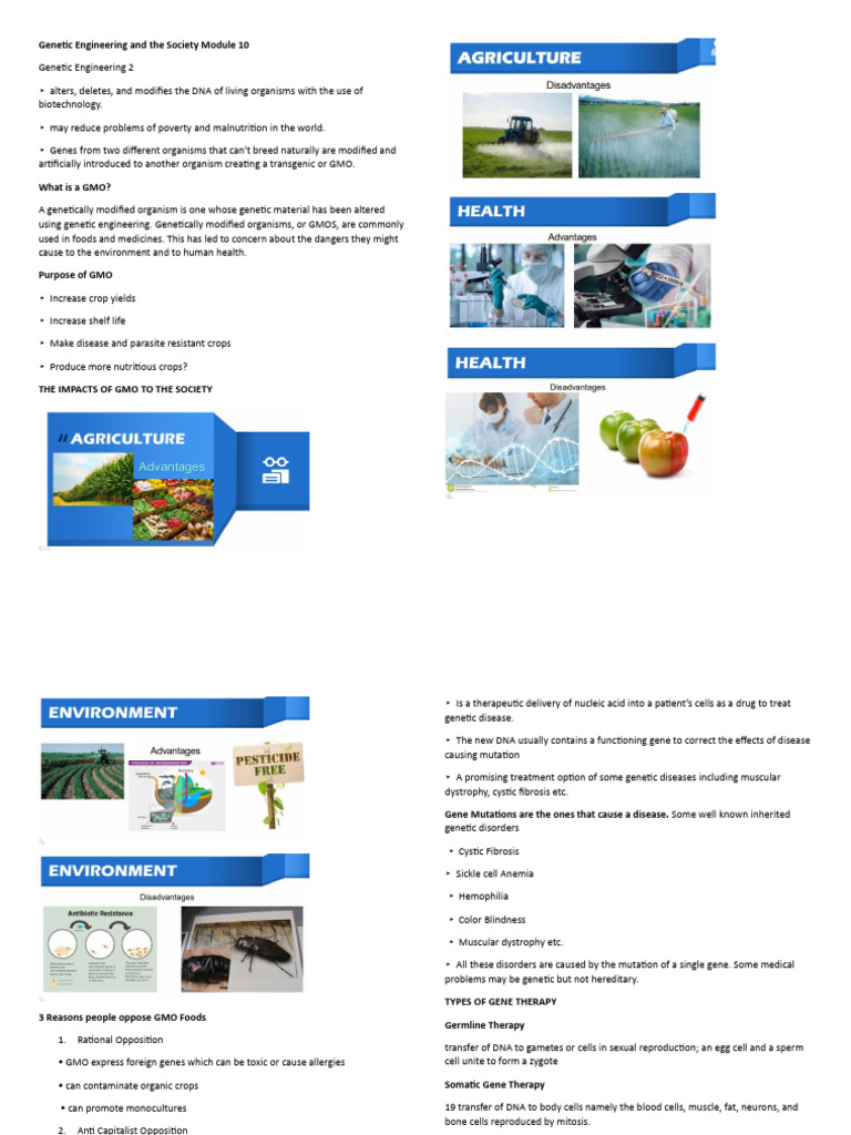 Scites Modsfinals | PDF