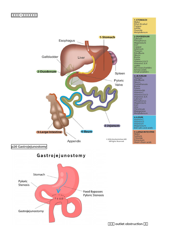 General Surgery | PDF
