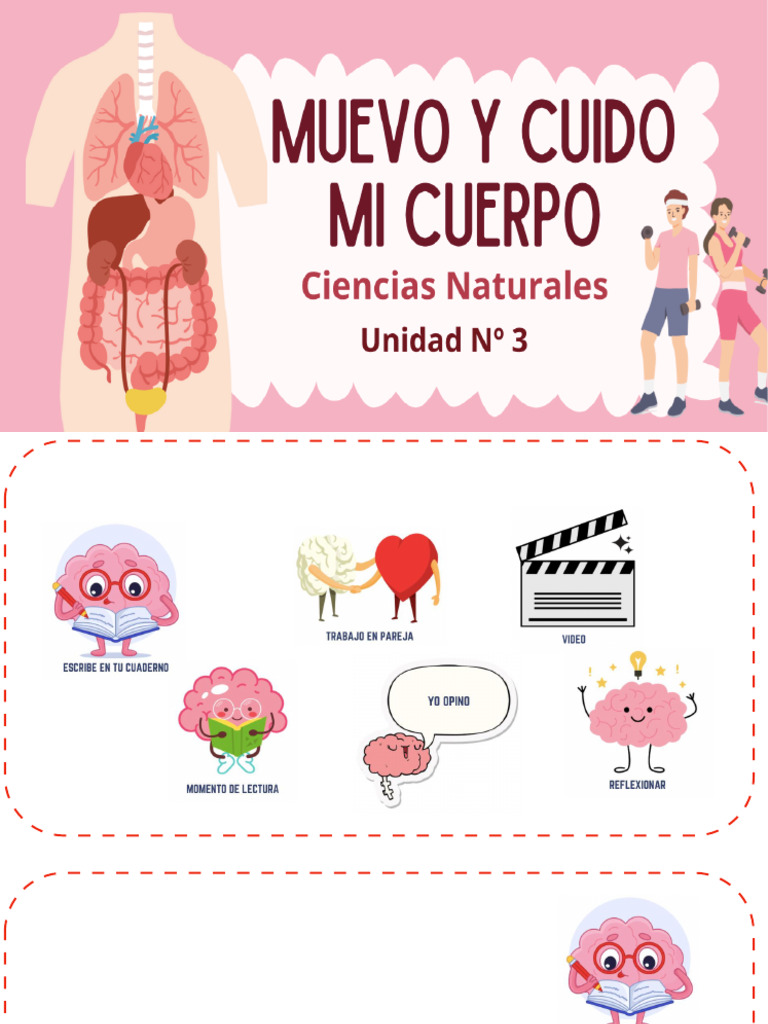 Unidad 3 Cuerpo Humano 2 Ppt2 | PDF