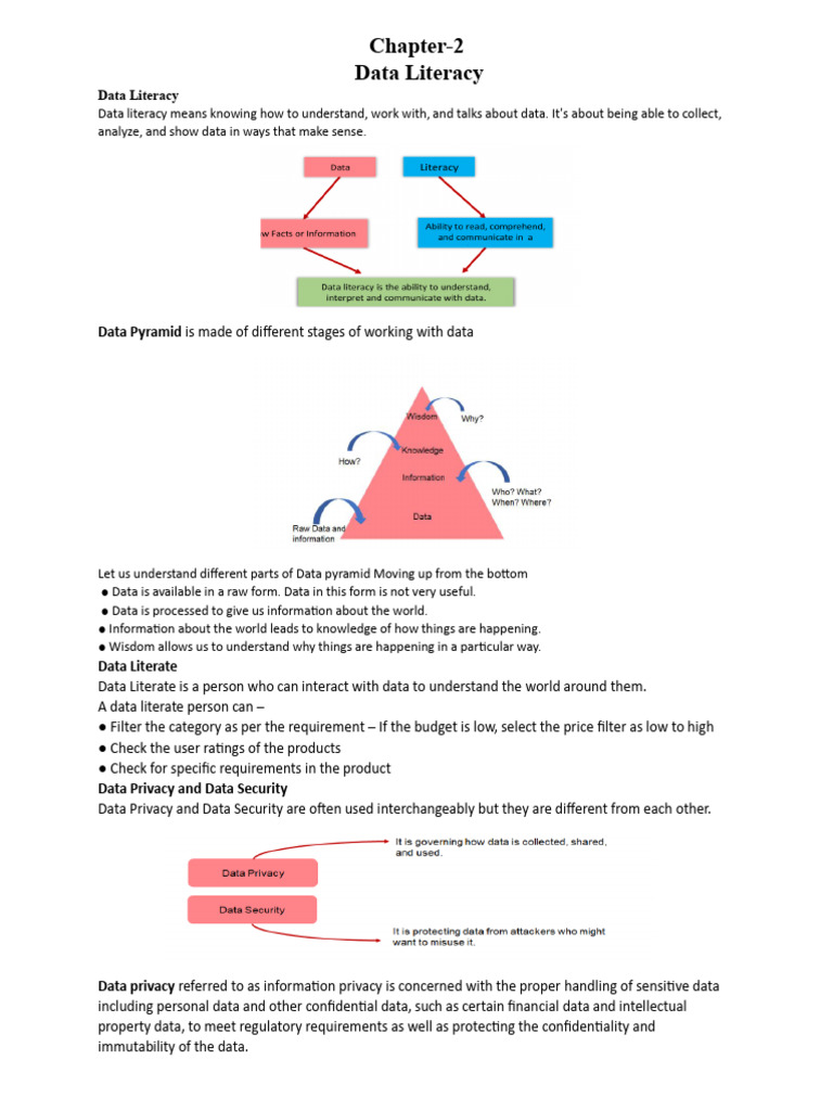 Chapter-2 (Data Literacy) 060131 | PDF
