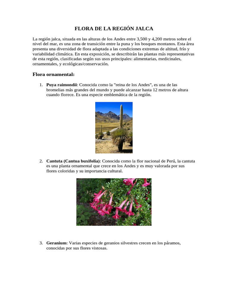 La Región Jalca | PDF