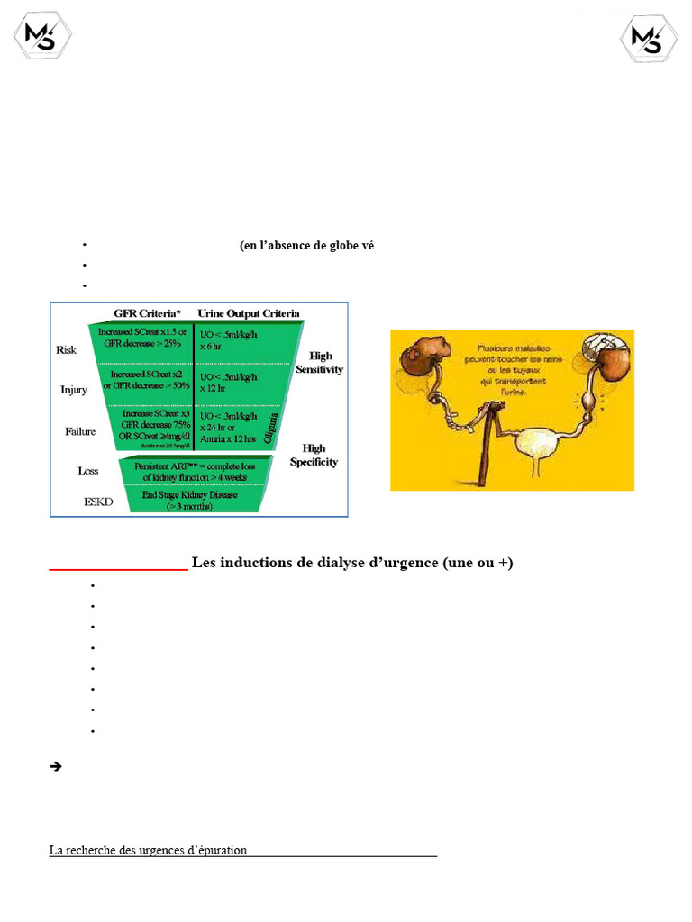 7 - Insuffisance Rénale Aiguë (PR Missoum) | PDF