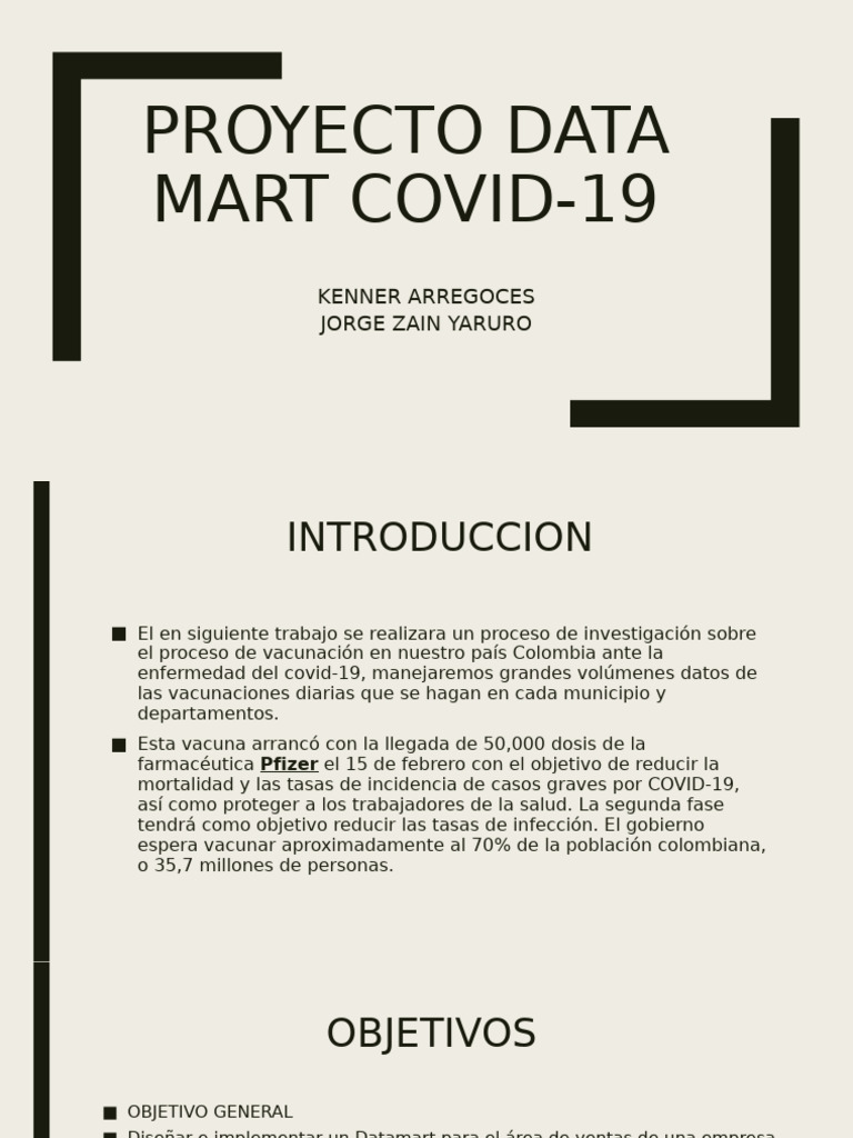 Proyecto Data Mart Covid | PDF | Data | Business
