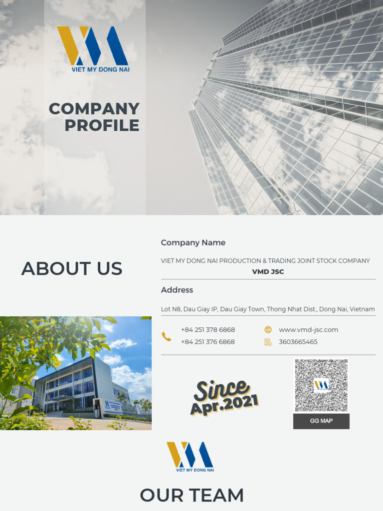 VMD Company 2024 | PDF