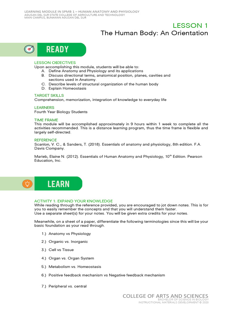 Lesson 1 The Human Body | PDF